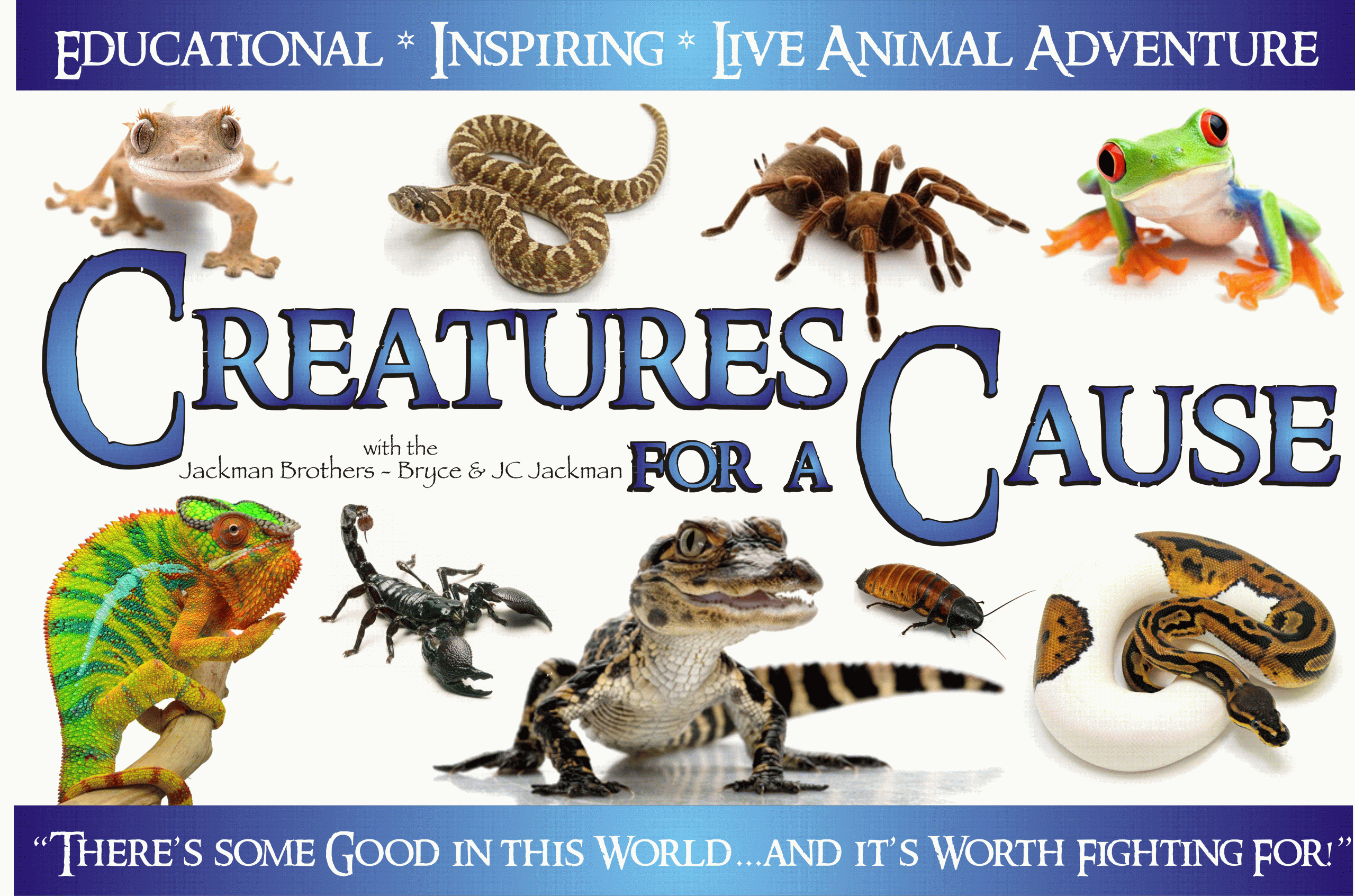 JC Jackman's Creepy Crawly Adventure